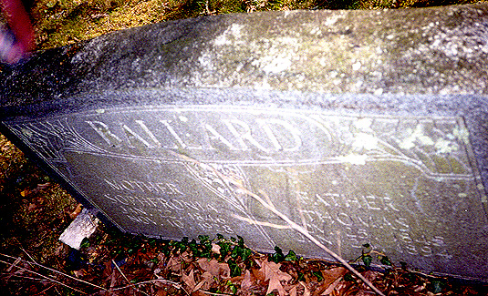 Terry Ballard's genealogy